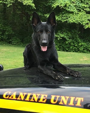 Carroll County Ohio Sheriff's Office - CarrollCountySheriff.org ...